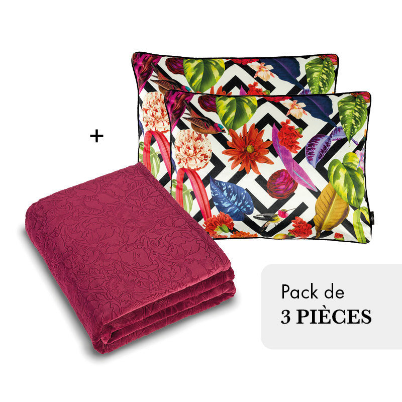 Pack Harmonie - Burgundy – CXL by Christian Lacroix Maison